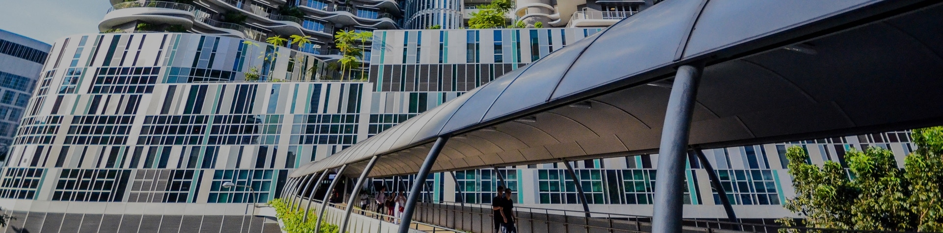 Government Schools | Starich Education | Singapore
