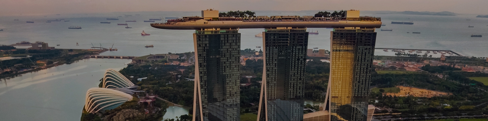 International & Singapore Schools | Starich Education